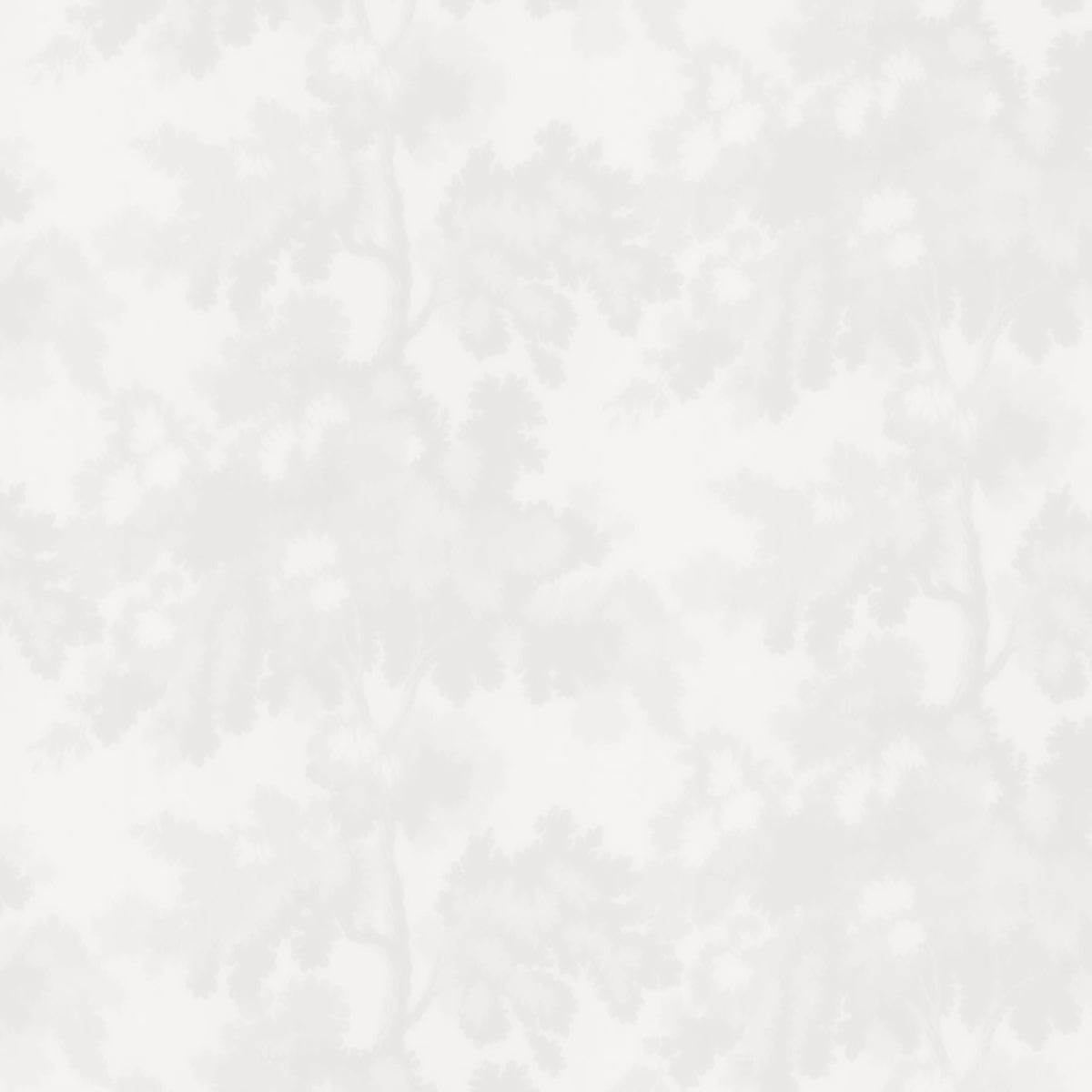 Raphel- White Wallpaper